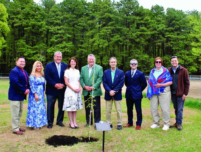Red maple planted in City Park for nation’s 250th | News ...