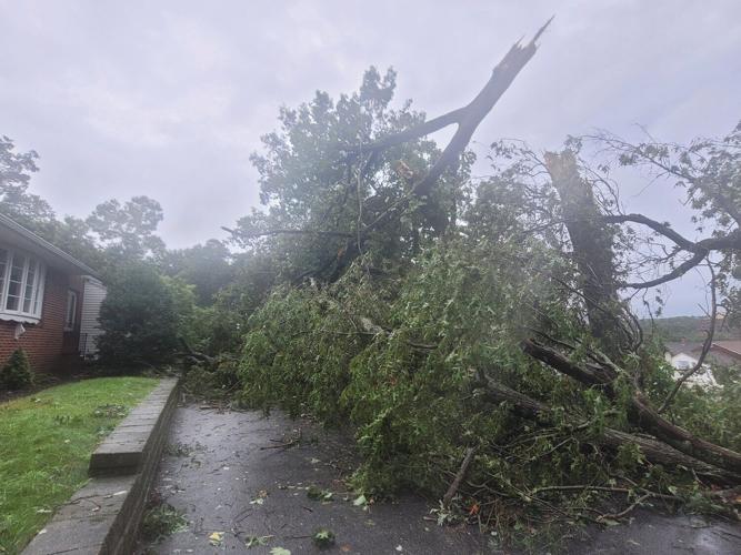 Likely tornado topples trees and unearths graves in Johnston | Topnews ...
