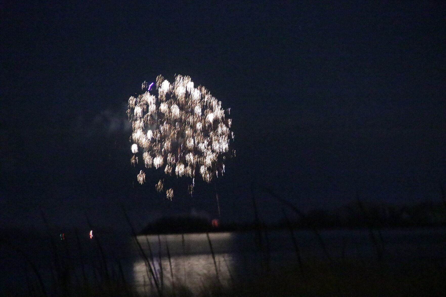 Lighting up the New Year | News | warwickonline.com