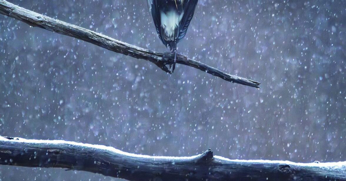 Creating everyday zen: Practical tips for relaxation | Lifestyles ...