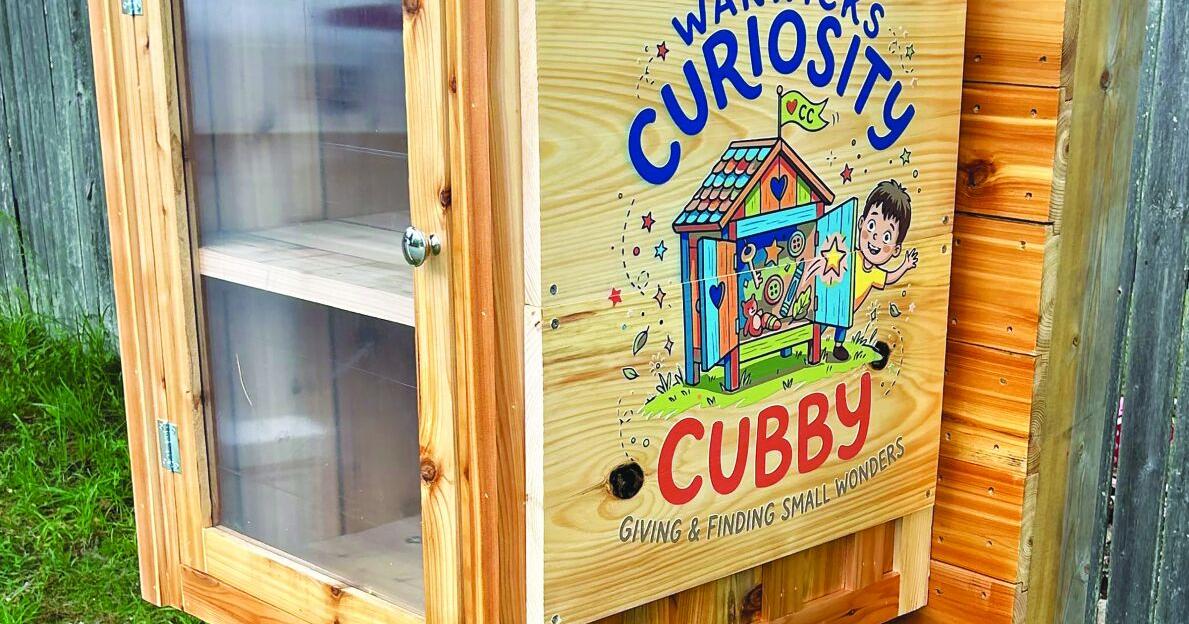 Boy’s Curiosity Cubby receives major upgrade | News | warwickonline.com