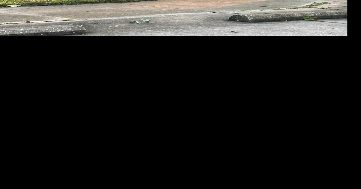 Storms cause power outages, damage | Local News | washtimesherald.com