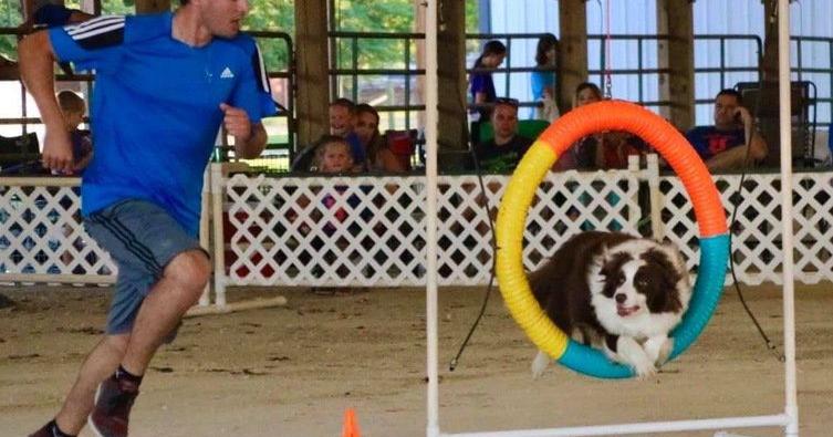 High flying hounds | Local News | washtimesherald.com