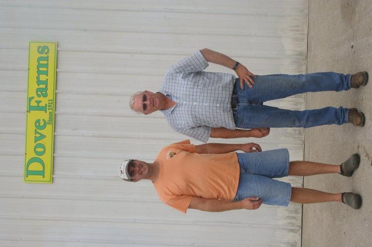 Cattle create legacy for Dove Farms | Local News | washtimesherald.com