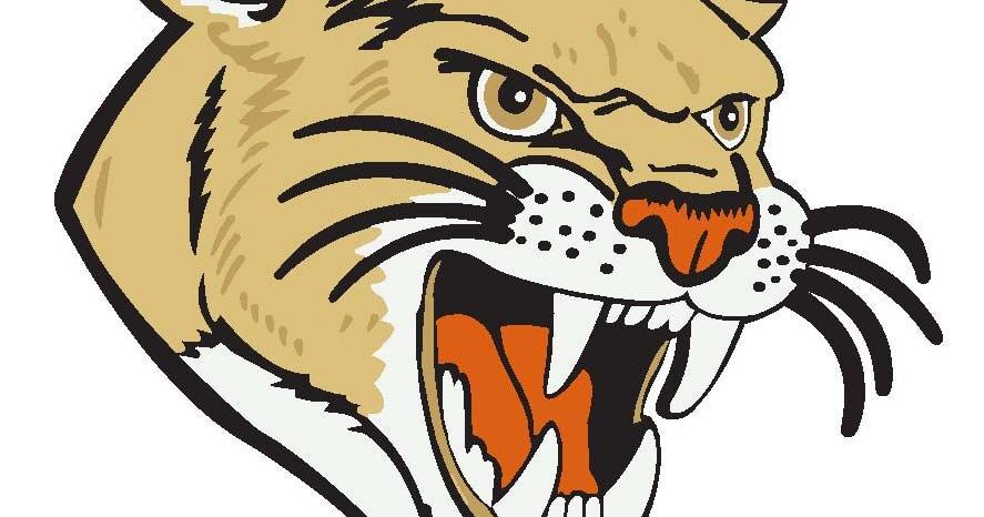 Cougars named All-SWIAC | Local Sports | washtimesherald.com