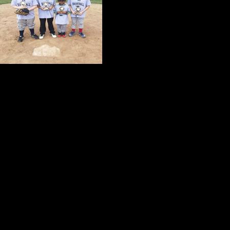 Hatchets host baseball camp | Local Sports | washtimesherald.com