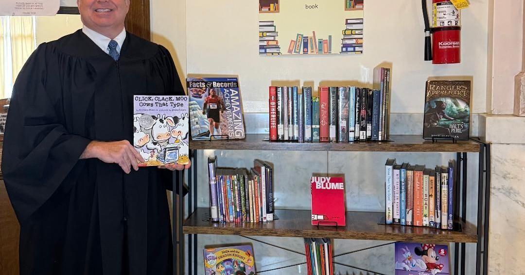 Judge sets up Little Free Library at Sullivan County Courthouse | News ...