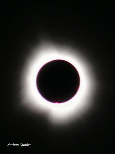 gunder | | washtimesherald.com