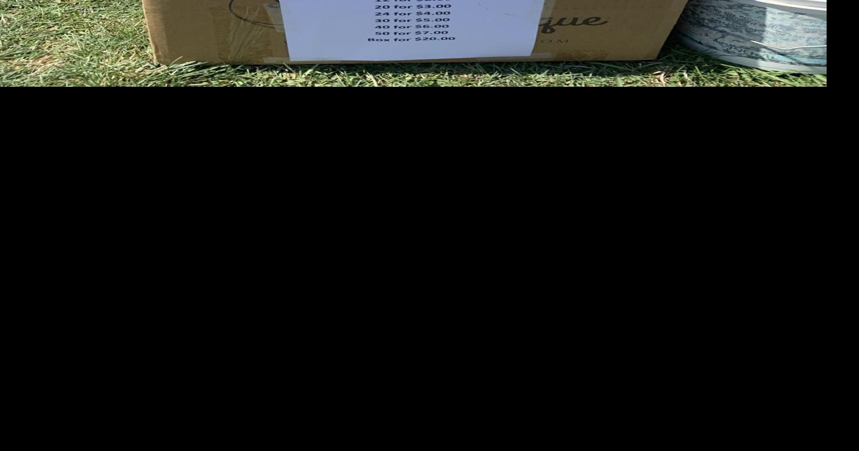 20th annual WRVAA Swap Meet and Barn Market set for Friday and Saturday ...