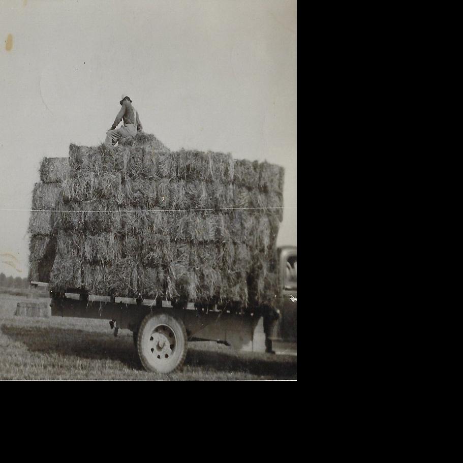 Cryptids of Indiana | Lifestyles | washtimesherald.com