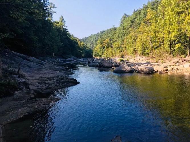 A Clean Wilson Creek to merge with Wild South | Local News ...