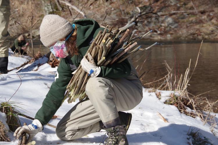 MountainTrue hosts live staking event in goal to plant 15,000 trees ...