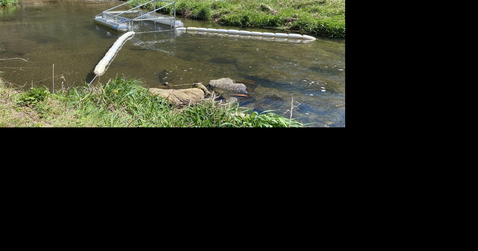 Community organizations team up to install Watauga's second floating ...