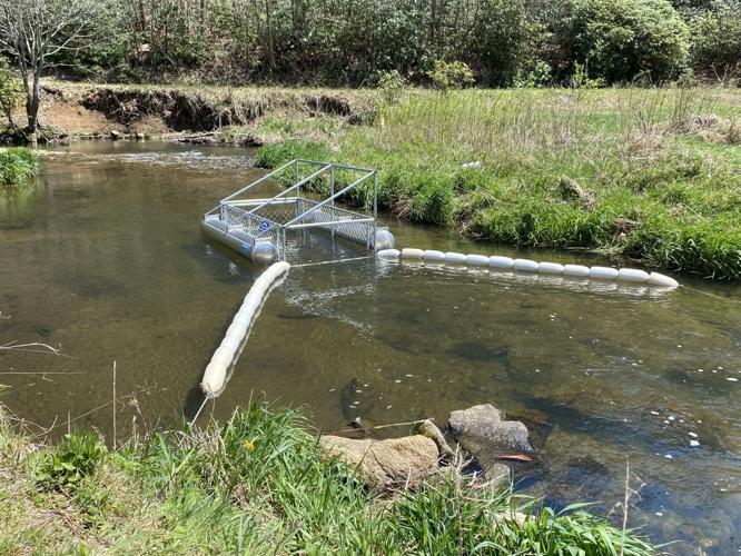 Community organizations team up to install Watauga's second floating ...
