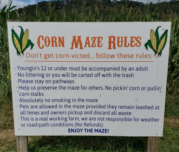 corn maze rules