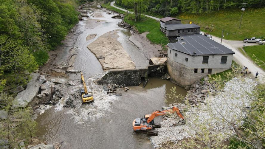 Ward Mill Dam removal connects 35 miles of aquatic habitat in the ...