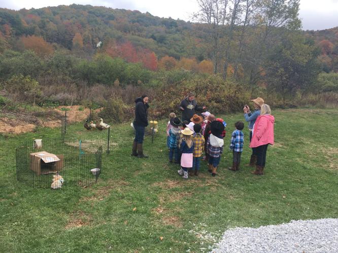 Banner Elk Elementary celebrates Rock Your School Day | Mountain Times ...