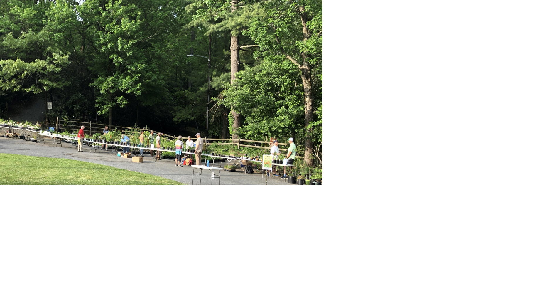 NC Native Plant Society announces two native plant sale events in Boone ...