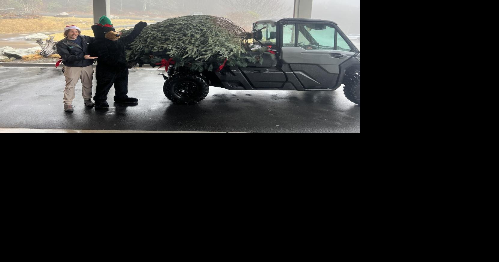 Tree arrival and celebration to kick off holiday season at Grandfather ...