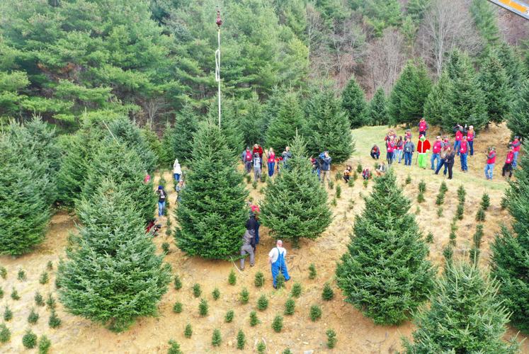 Cline Church Nursery sends Christmas tree to White House | Local News ...