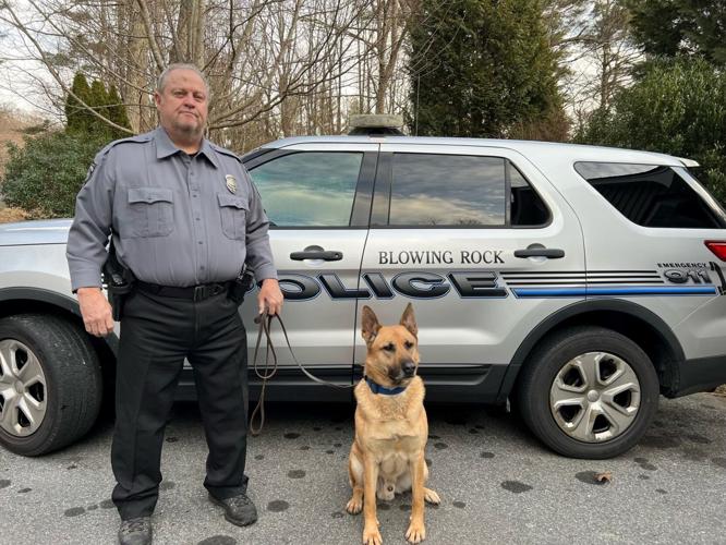 Blowing Rock Police Department welcomes first K-9 officer | Local News ...