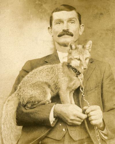 'Animals of Digital Watauga' to take over Jones House gallery | Local ...