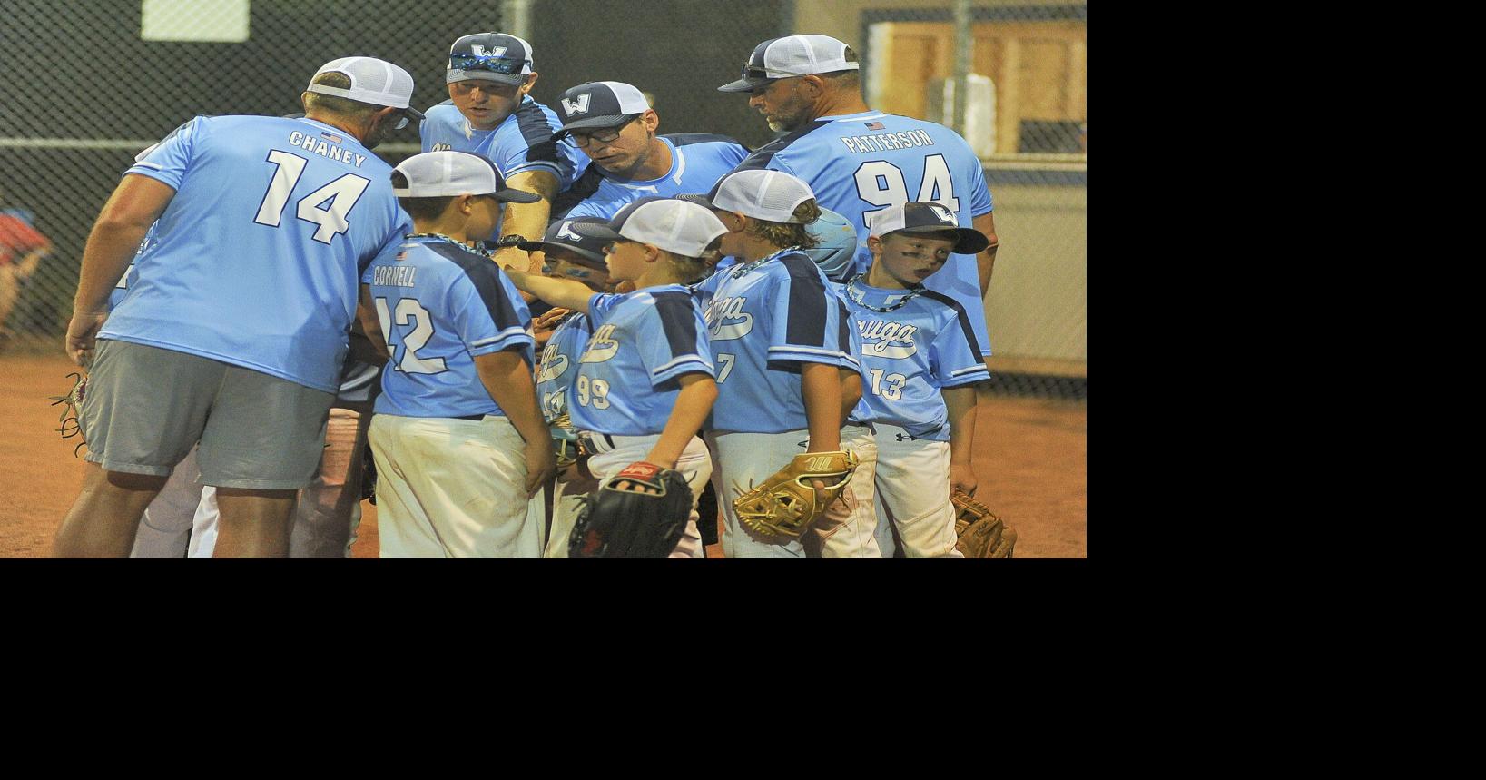 Watauga hardballers ready to host THL state tournaments | Sports ...