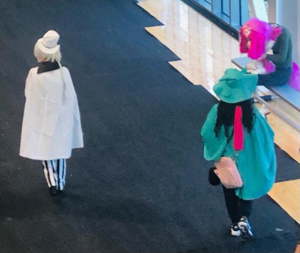 Boone Comic-Con 2024 draws big crowd at Watauga Recreation Center ...