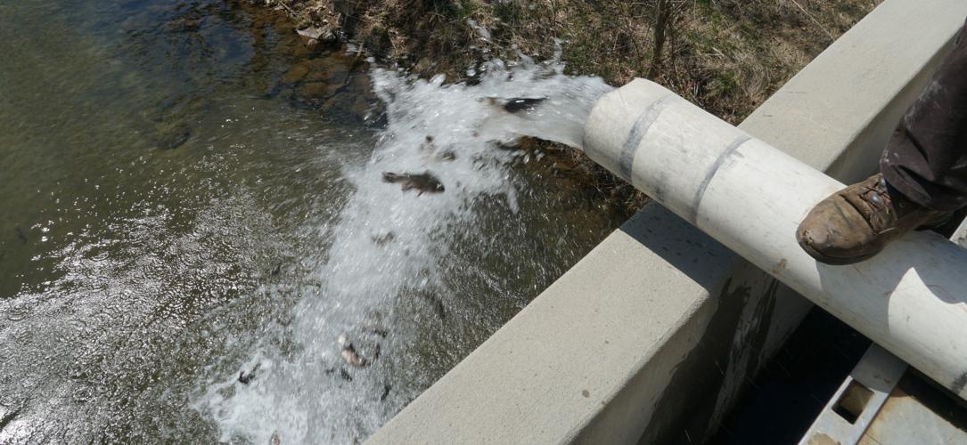 A ride in the trout truck: Restocking Ashe County creeks | News ...