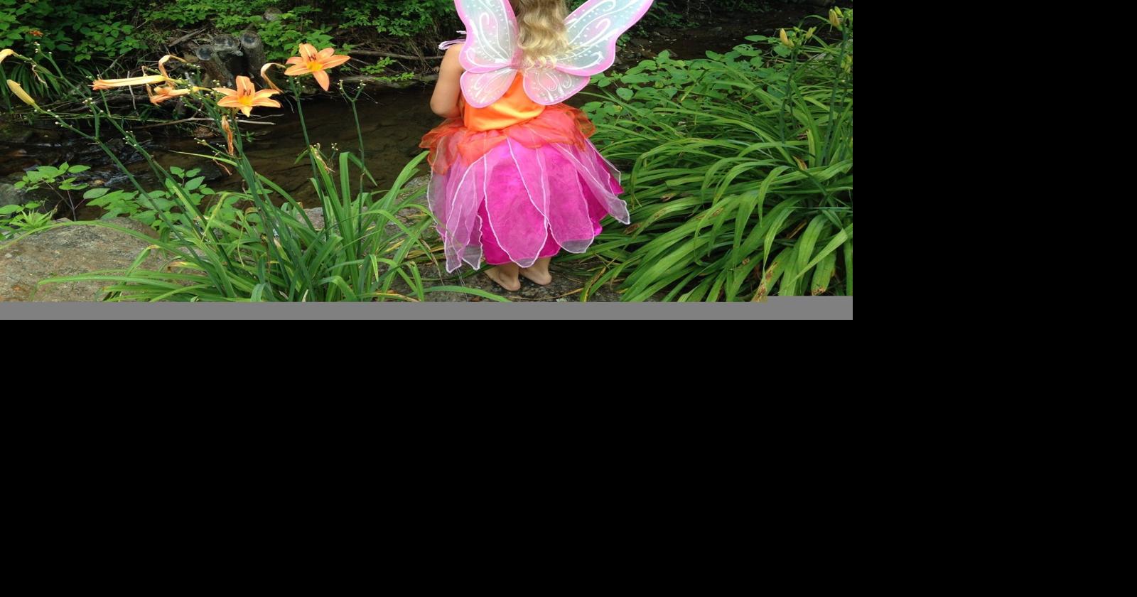 Fairy Day to offer whimsical fun at Daniel Boone Native Gardens ...