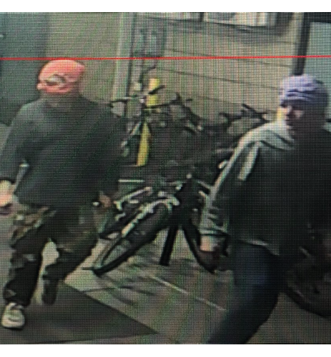 Boone PD, Crime Stoppers seeking to ID suspects after alleged vehicle ...