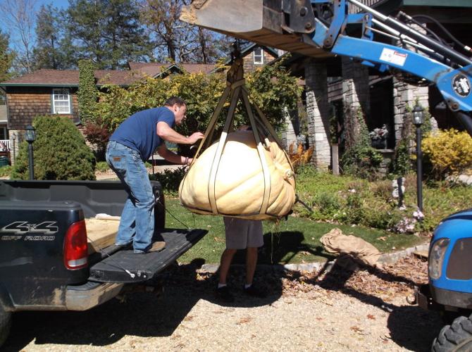 700 pound pumpkin on display in Blowing Rock | Watauga ...