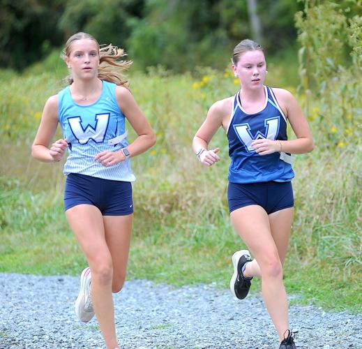 Townsend headlines Pioneer home meet sweep of Hibriten | Sports ...
