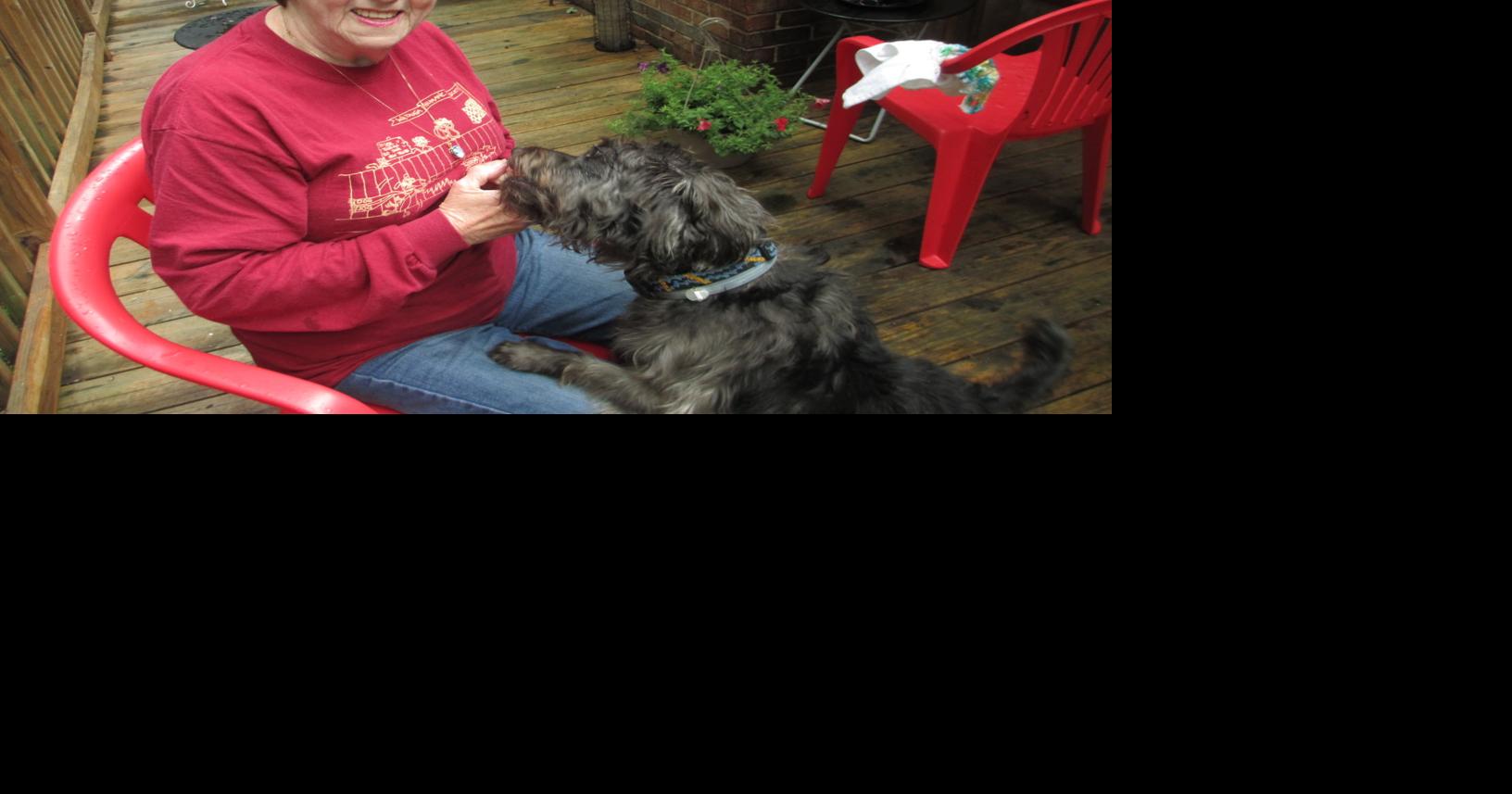Dee Dundon and the Healing Power of Animals | All About Women Magazine ...