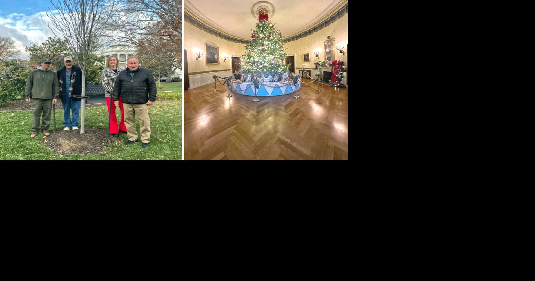 White House groundskeepers host High Country local, Fleetwood tree on ...