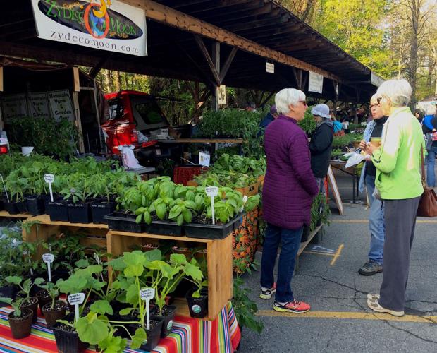 The Farmers Market Fix | All About Women Magazine | wataugademocrat.com