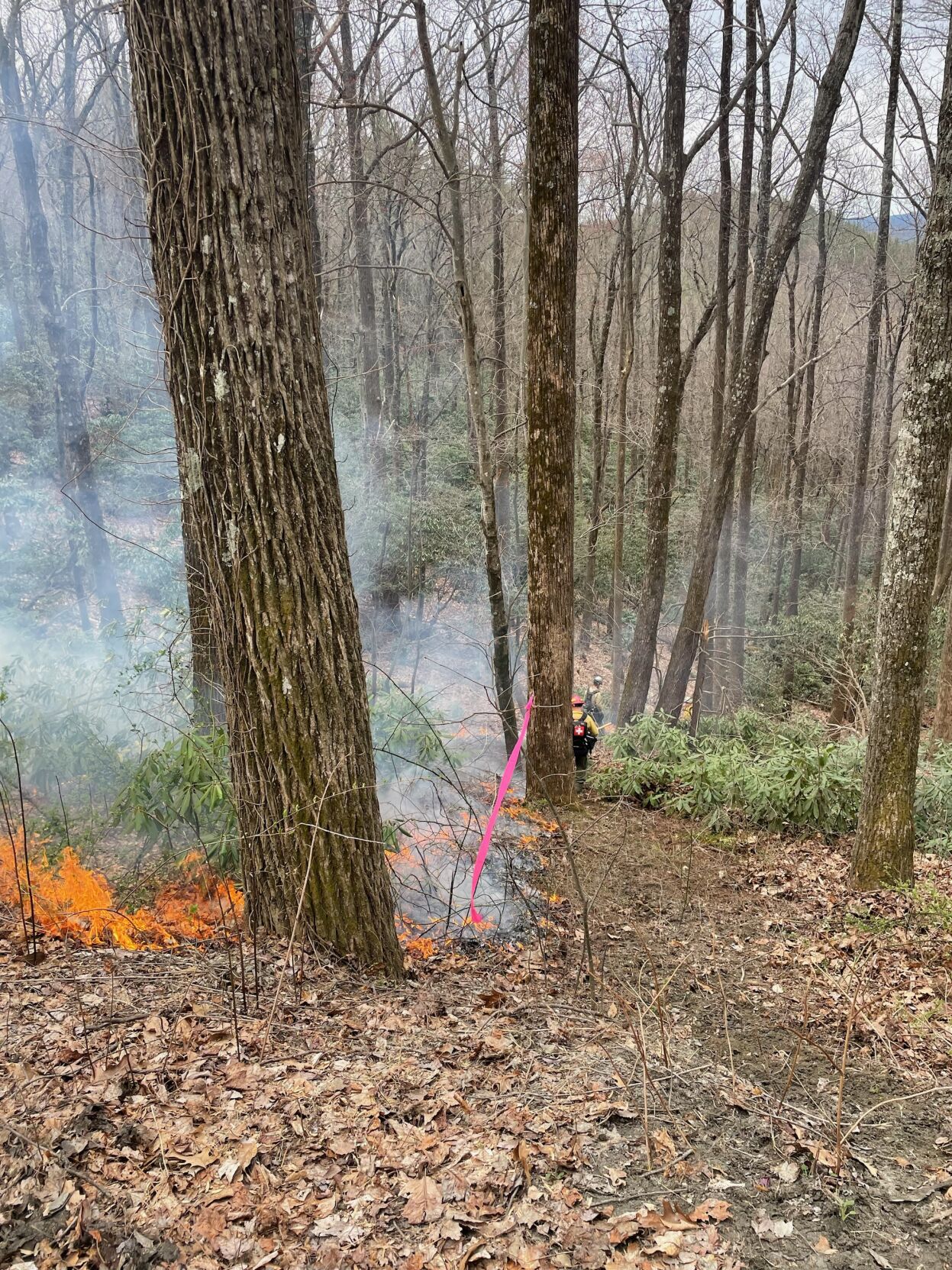 Photos: Boyd Gap prescribed burn near Blowing Rock | Multimedia ...