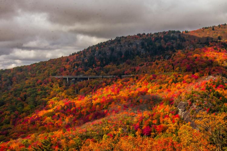High Country leaf season approaching | Local News | wataugademocrat.com