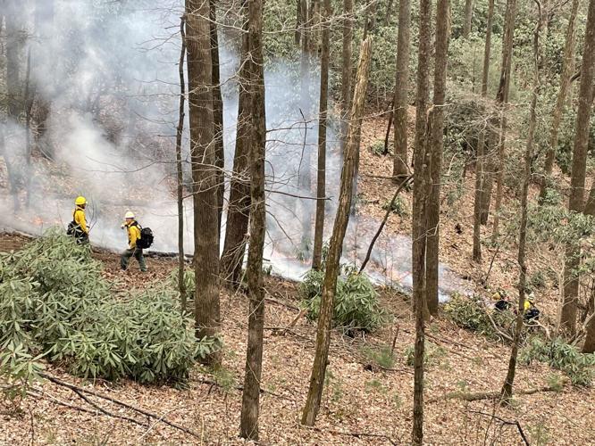 Photos: Boyd Gap prescribed burn near Blowing Rock | Multimedia ...