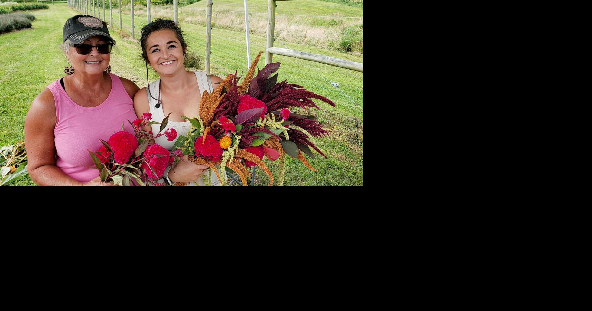 Flower Patch open for pickers | Mountain Times | wataugademocrat.com