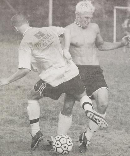 This week in the archives: bee beards, rabid kitten, wastewater ...