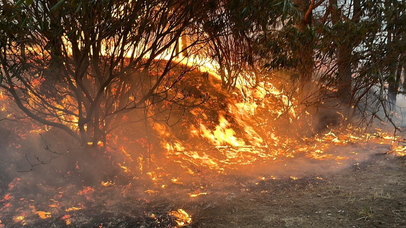 Crews contain 20-acre wildland fire in Blowing Rock | News ...