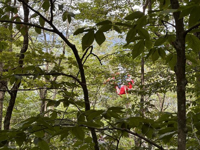 Emergency services rescue paraglider who crashed into trees near Tater ...