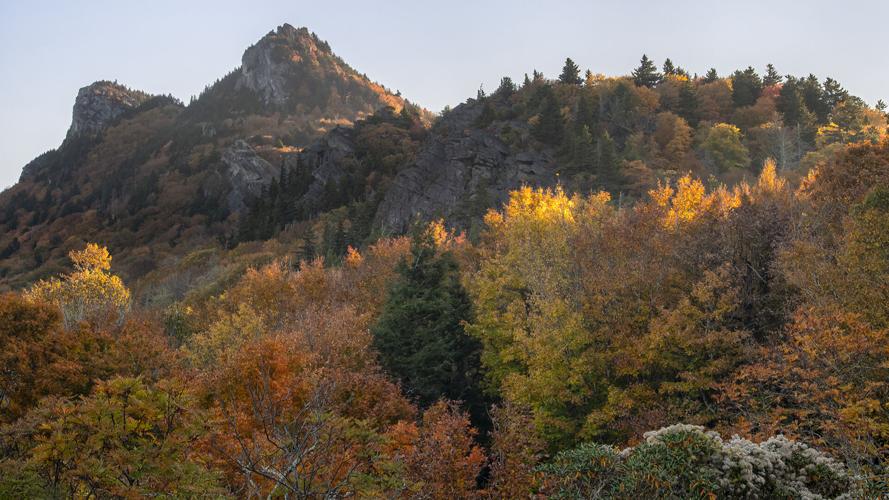 Fall colors continue to wow during peak week | | wataugademocrat.com