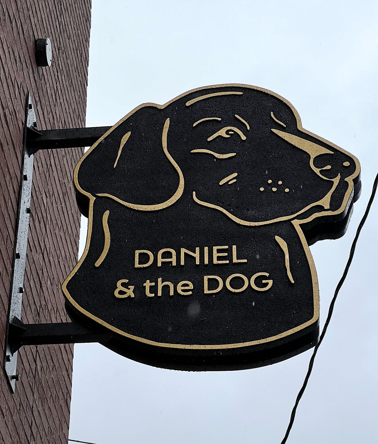 Daniel & The Dog opens on King Street | Main Street | wataugademocrat.com