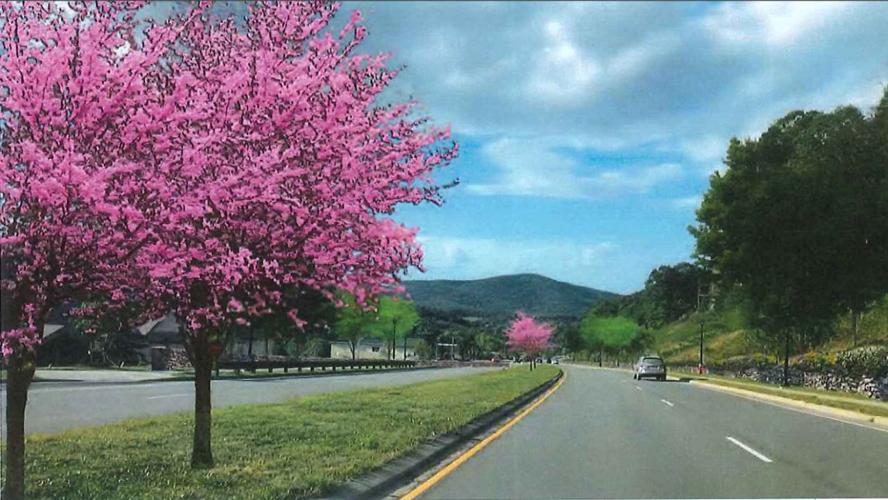 Valley Boulevard 'vision' presented to town council | Blowing Rocket ...