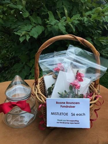 A mistletoe mission: Local jump rope group fundraising through register ...