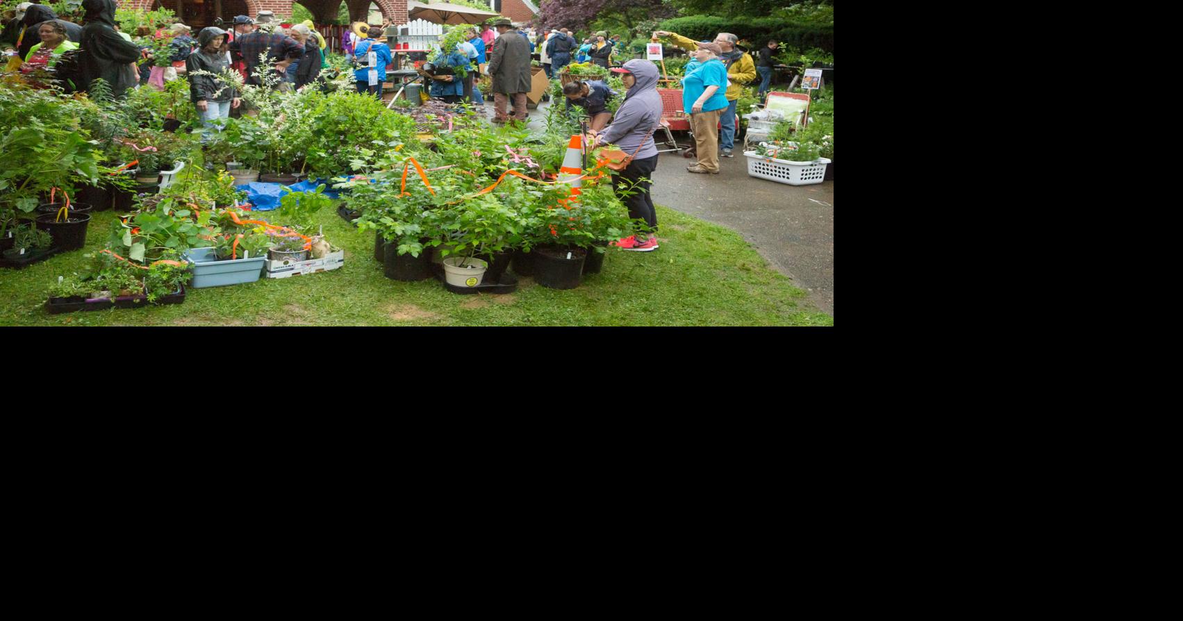 Watauga County Democrats raise $30K and counting in annual plant sale ...