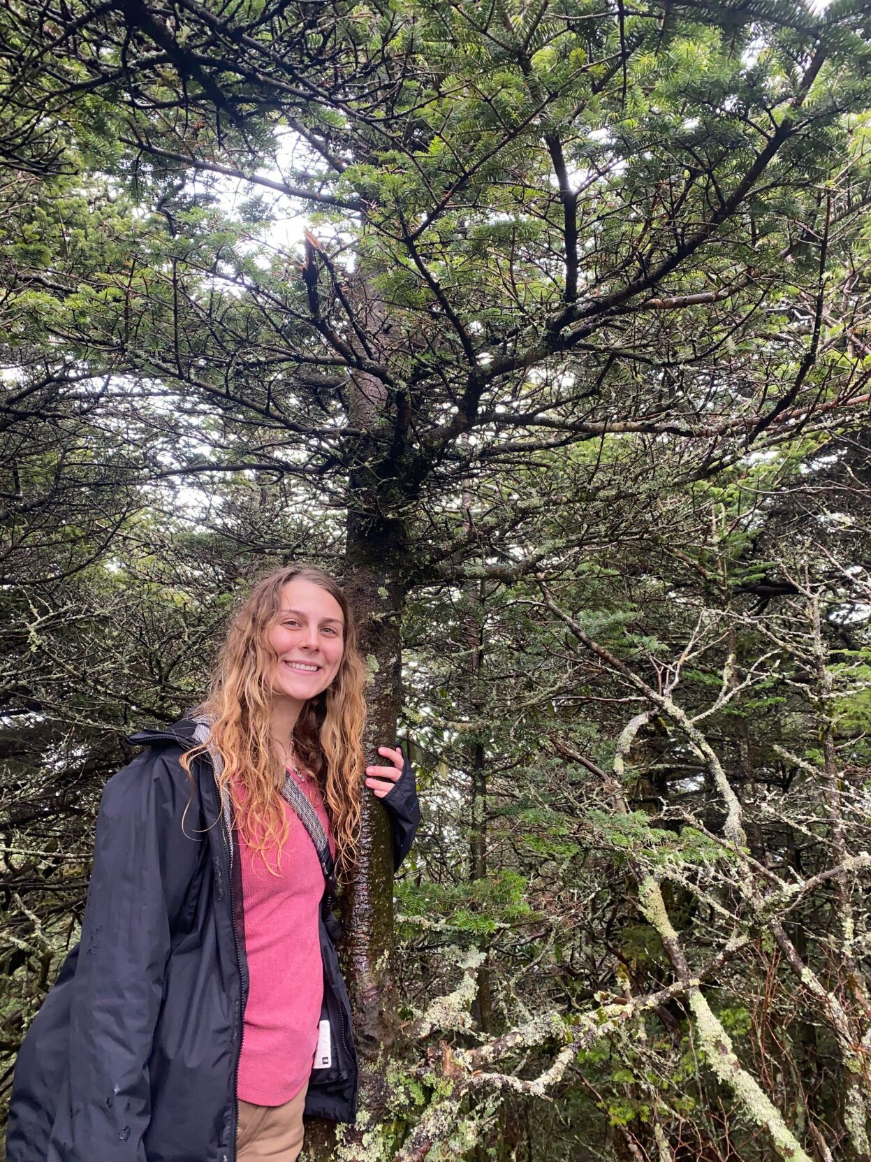 Local bio blitz highlights Watauga's biodiversity | Local News ...