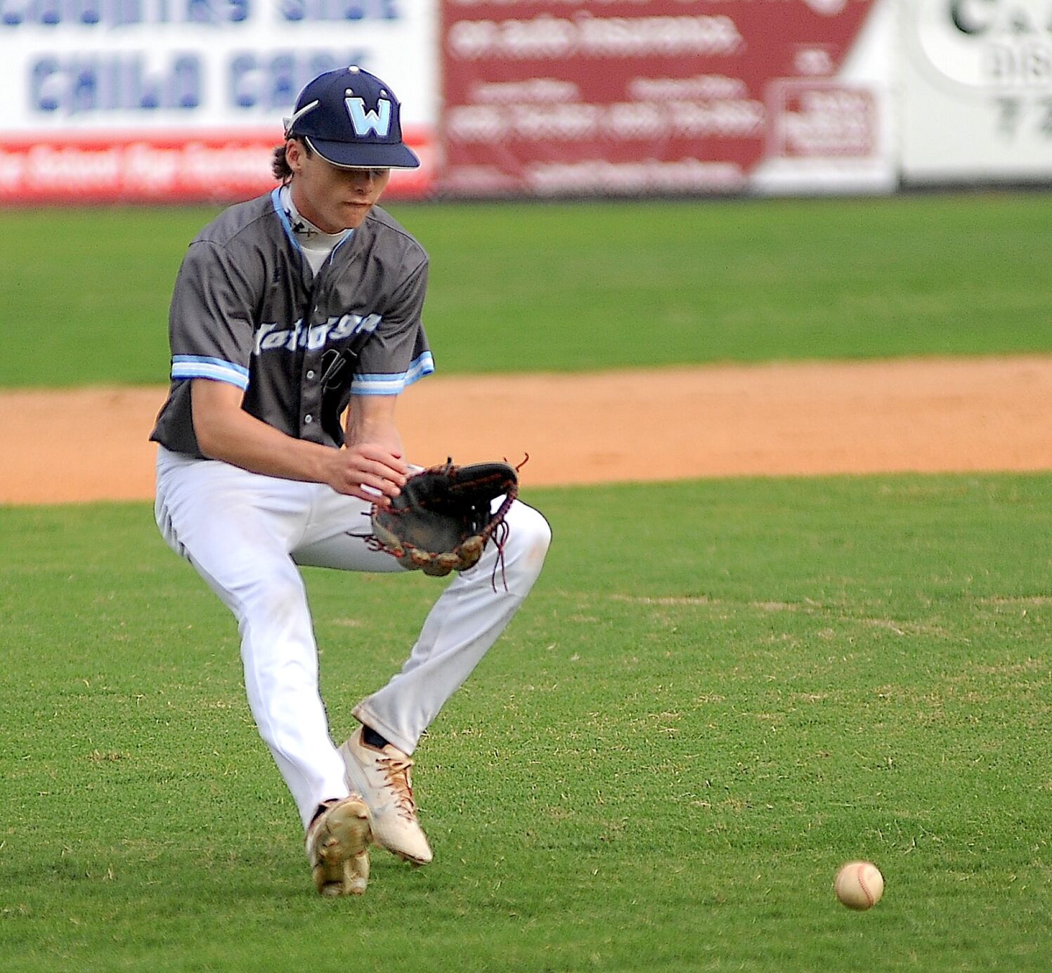 Flying high: Watauga baseball captures NWC tournament title | Sports ...